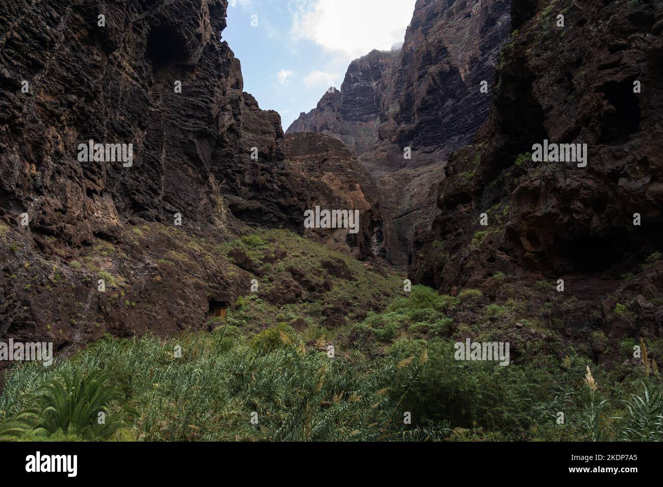 Landscape of Masca gorge. Tenerife. Canary Islands. Spain Stock Photo ...