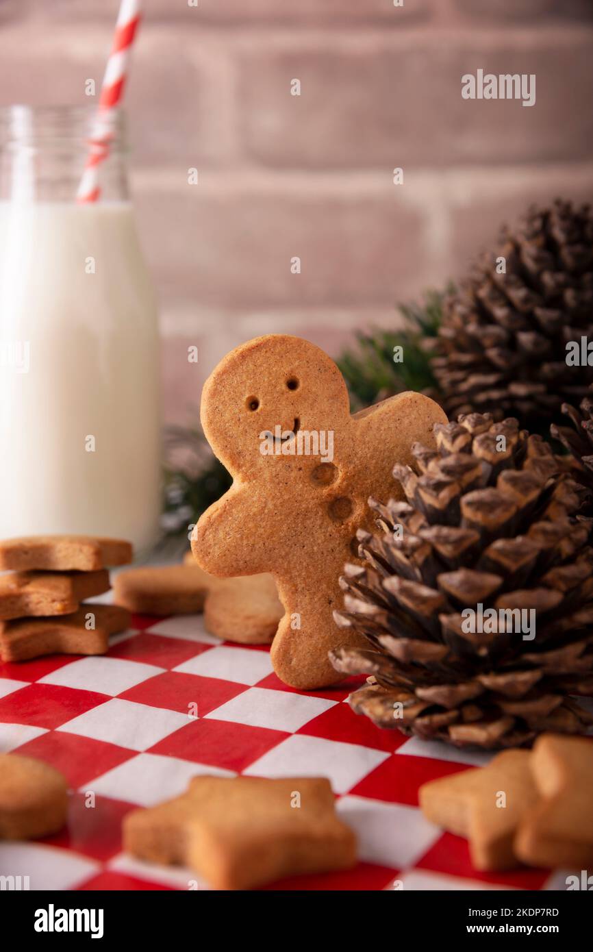 Homemade smiling gingerbread man cookie peeking out from behind a ...