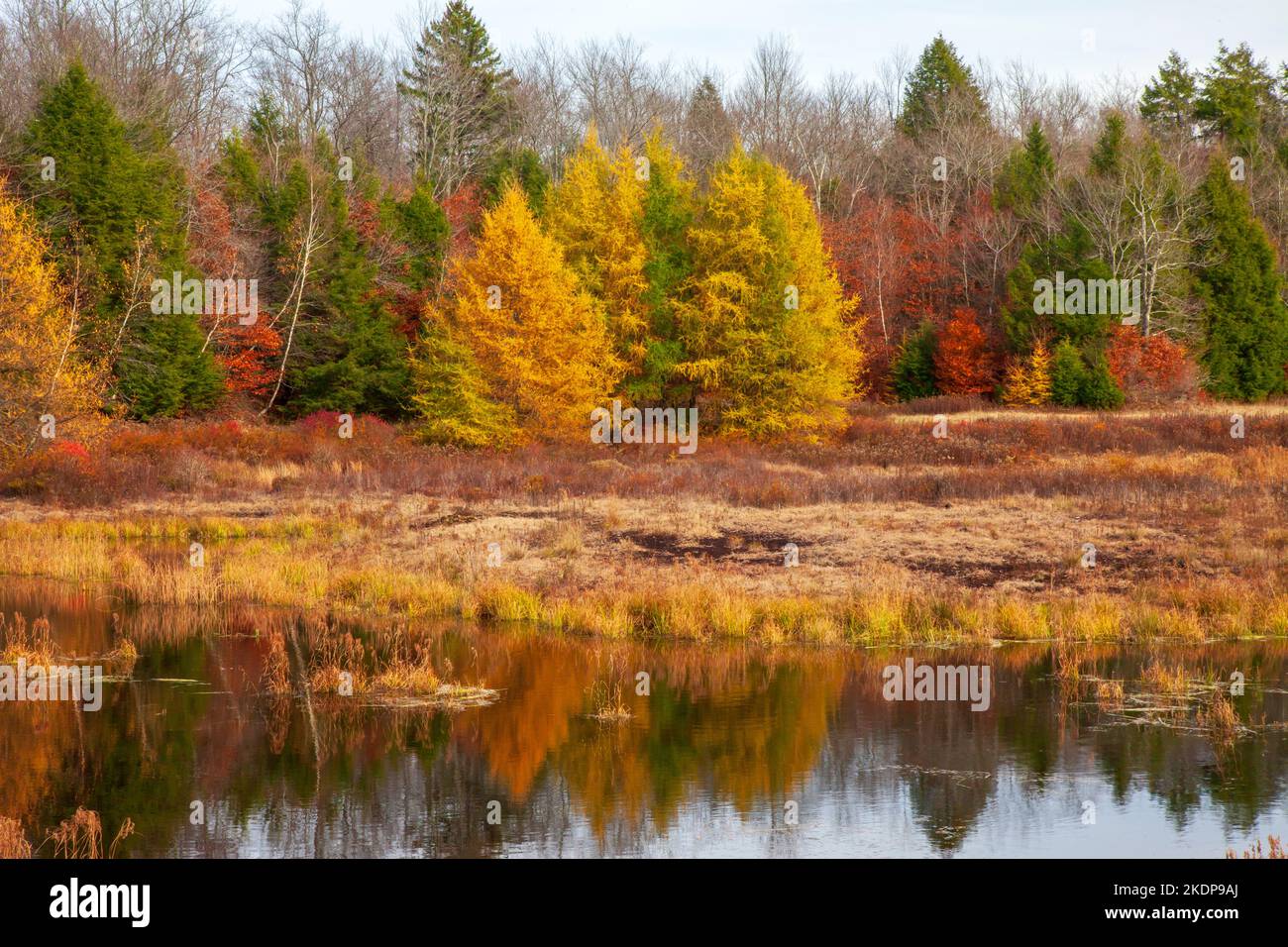 Upper Klondike Pond, along with its sister Lower Klondike Pond, on the ...