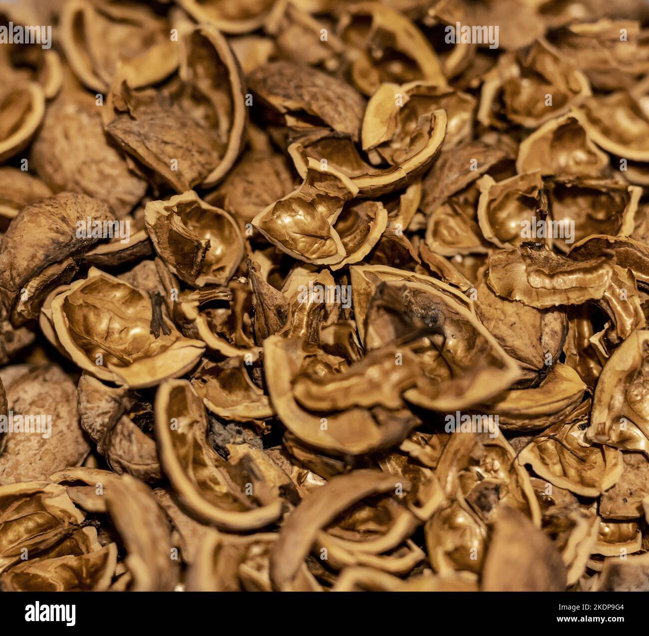 Open empty nutshell hi-res stock photography and images - Alamy