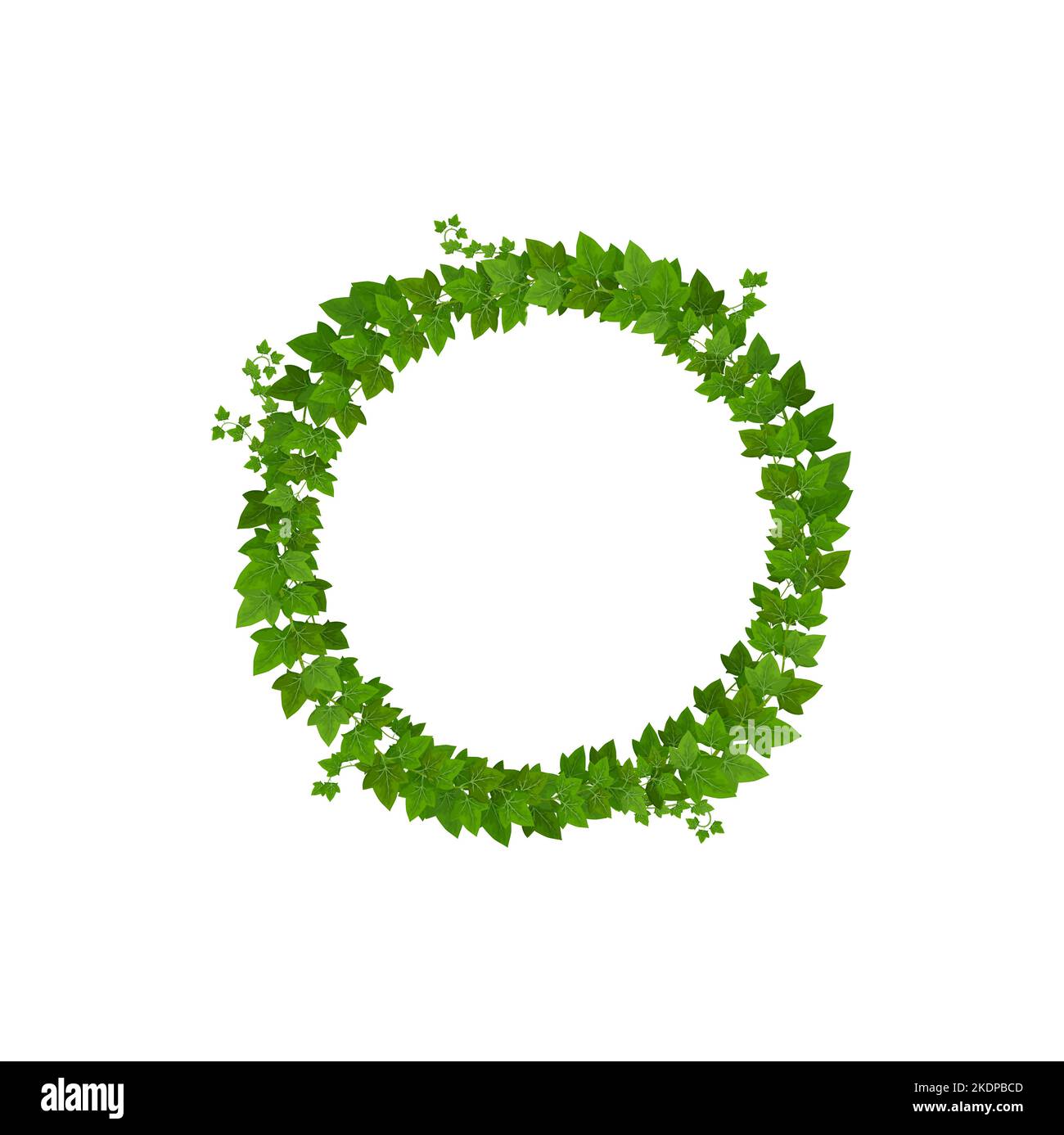 Green ivy or lianas leaves circle frame. Jungle liana plant leaf round ...