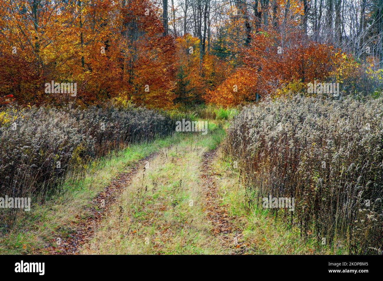 Prinmitive hi-res stock photography and images - Alamy