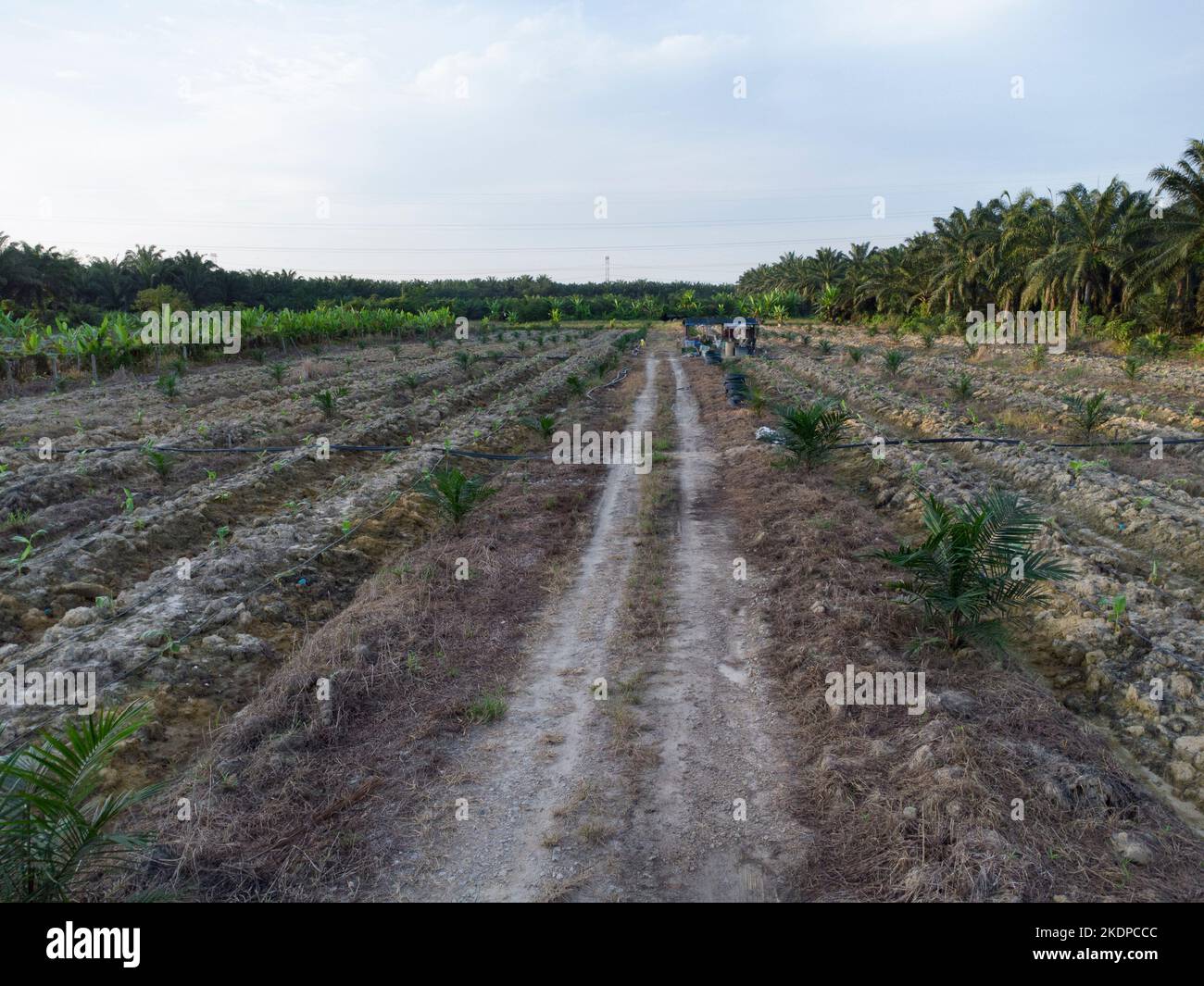 aerial scene of looking down the countryside town landscape Stock Photo ...