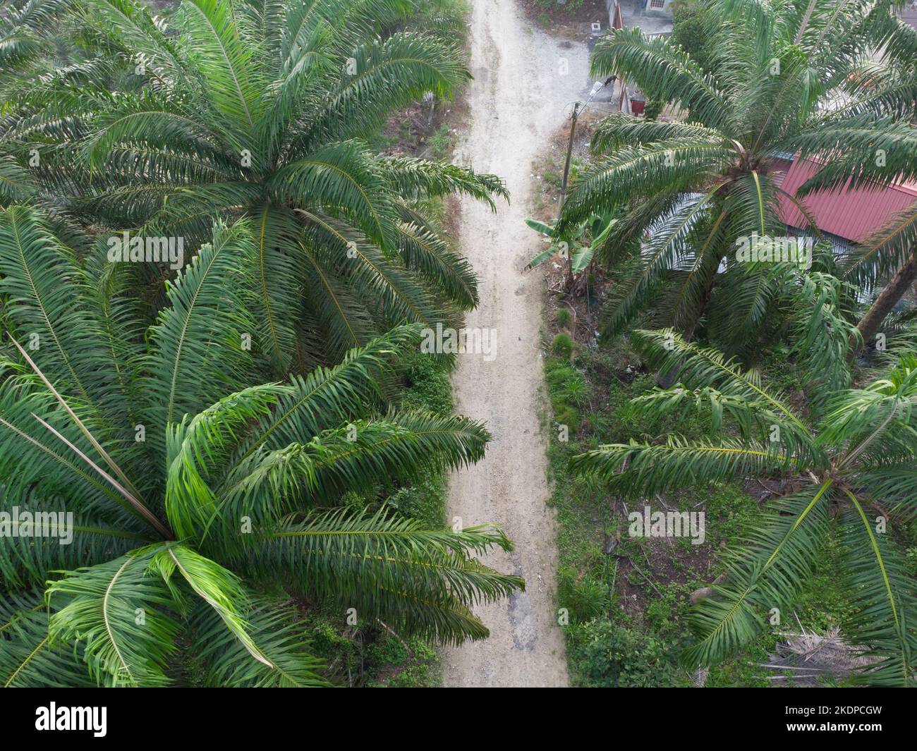 aerial scene of looking down the countryside town landscape Stock Photo ...