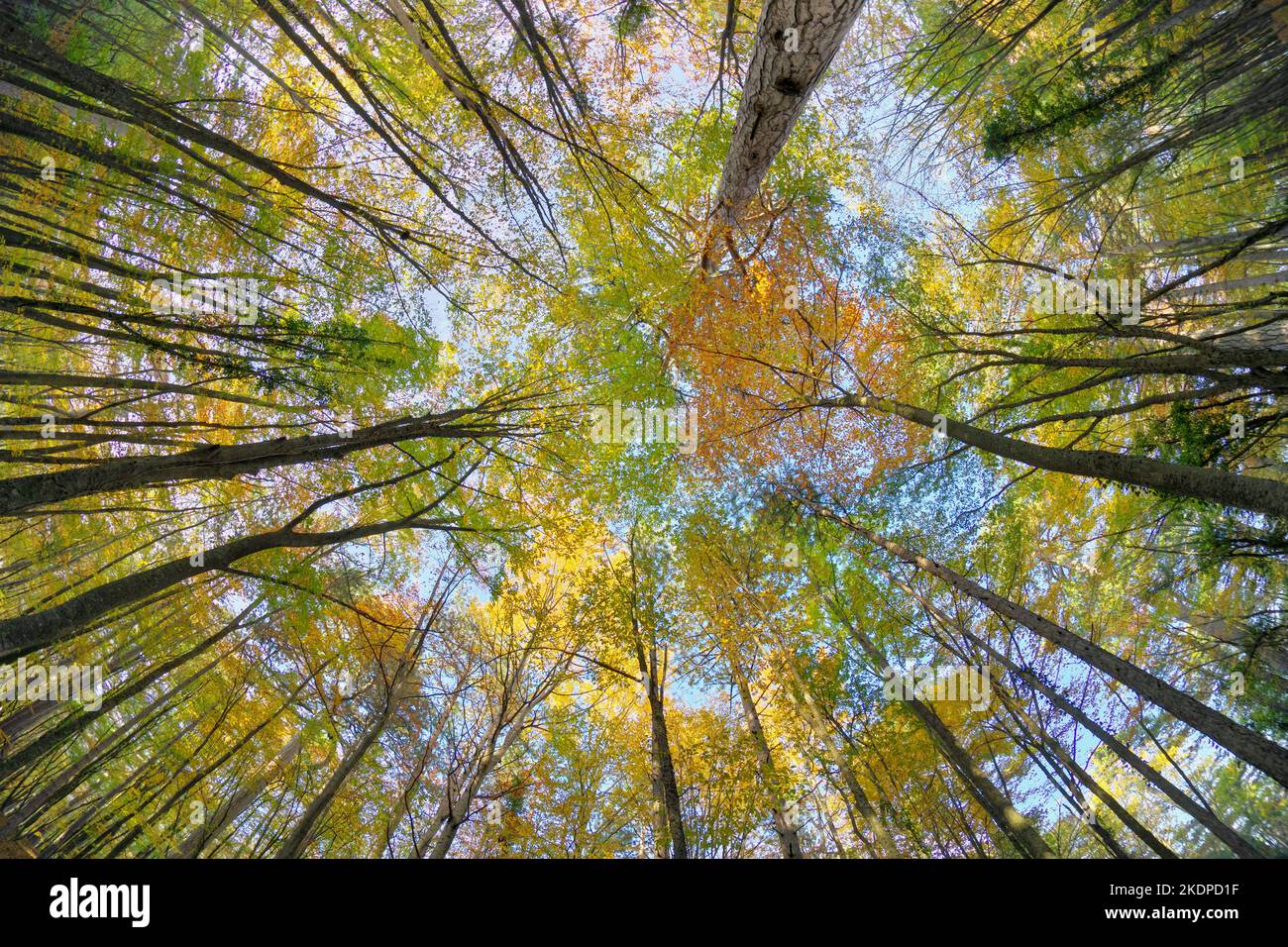 Nature summer season autumn architecture bright color hi-res stock ...