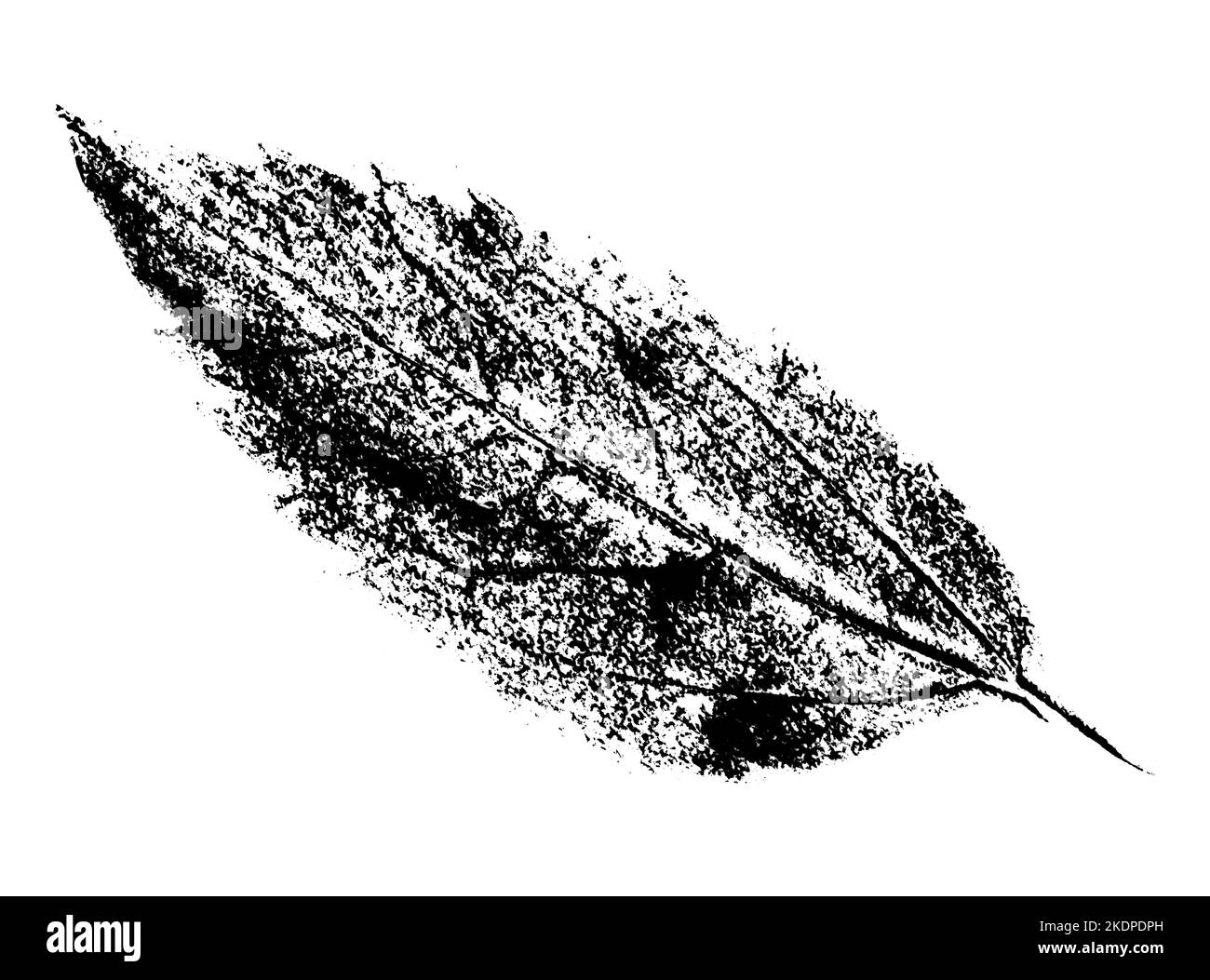 Leaf print with ink.. For designs about nature, plants, life. Black ...