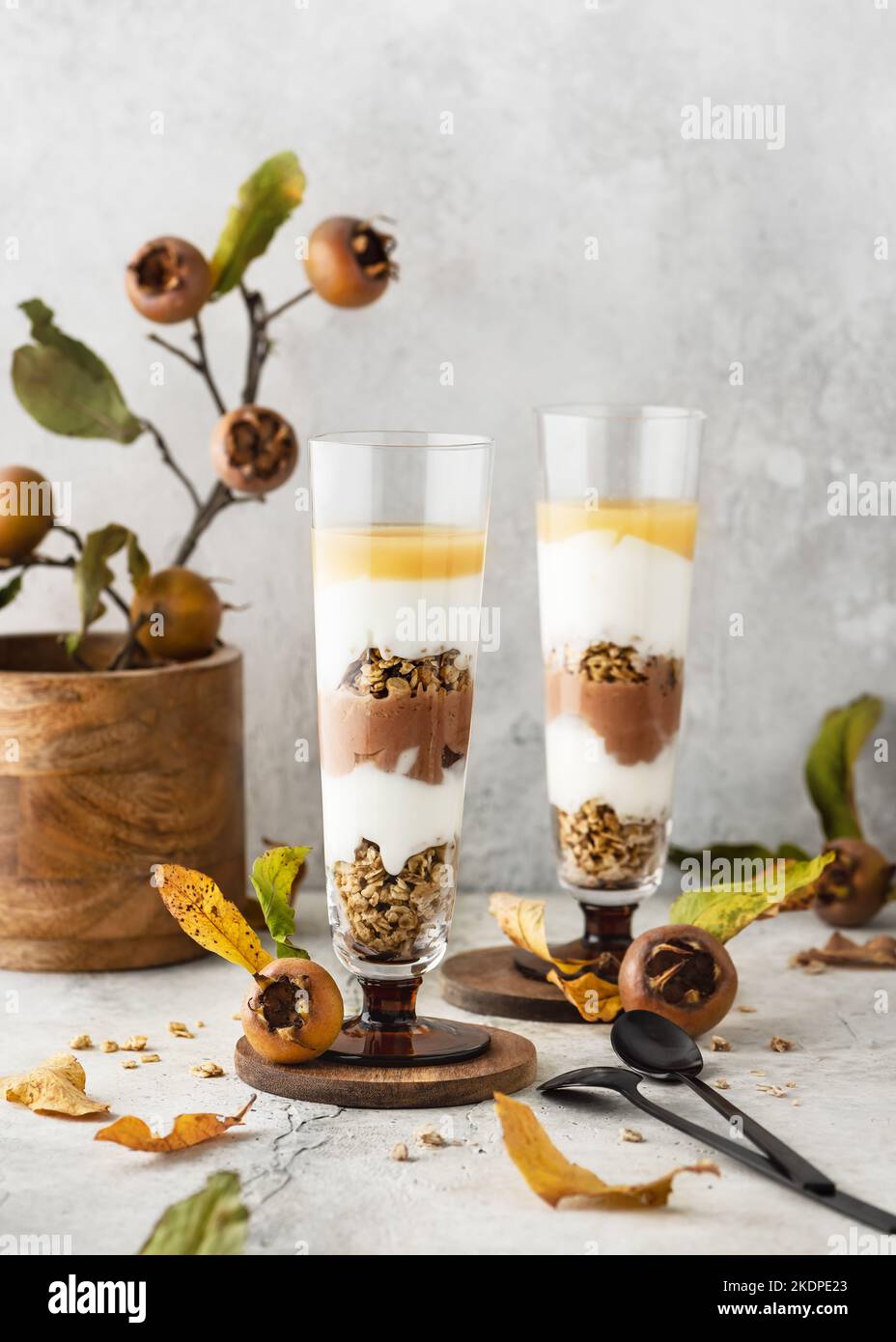 Delicious autumn cold layered dessert. Chocolate and yoghurt cream ...