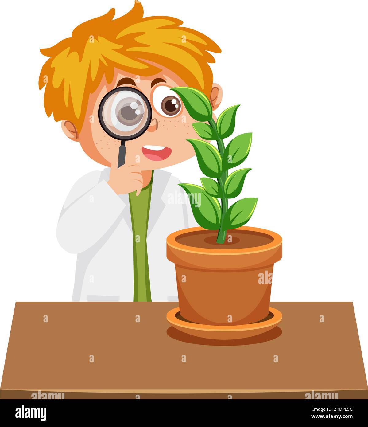 Boy research on a plant using magnifying glass illustration Stock ...