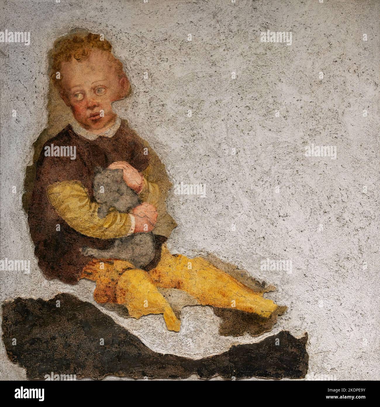 Bambino animale hi-res stock photography and images - Alamy