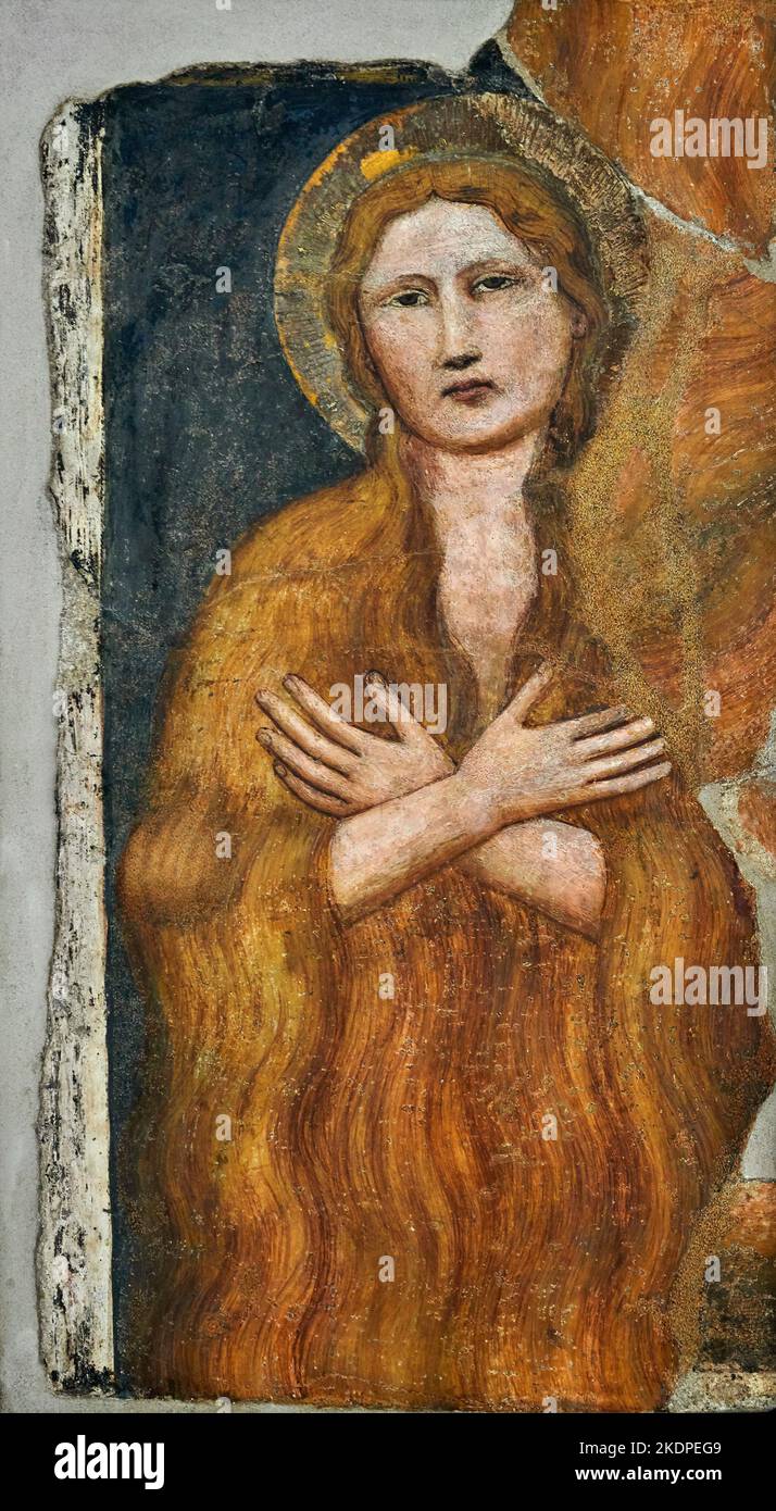 Maria Maddalena - affresco staccato - seguace di Altichiero - metà del ...