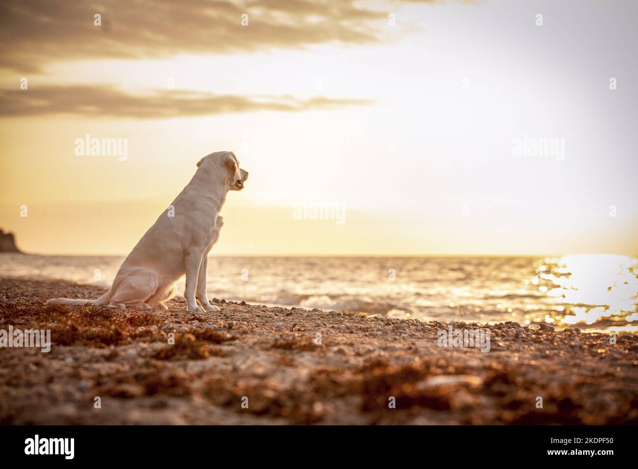 Atmospheric beach at sun rise hi-res stock photography and images - Alamy