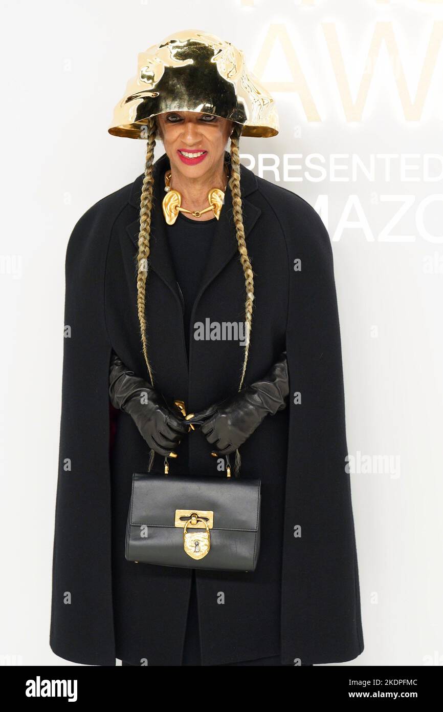 New York, NY, USA. 7th Nov, 2022. Patti Wilson at arrivals for 2022 ...