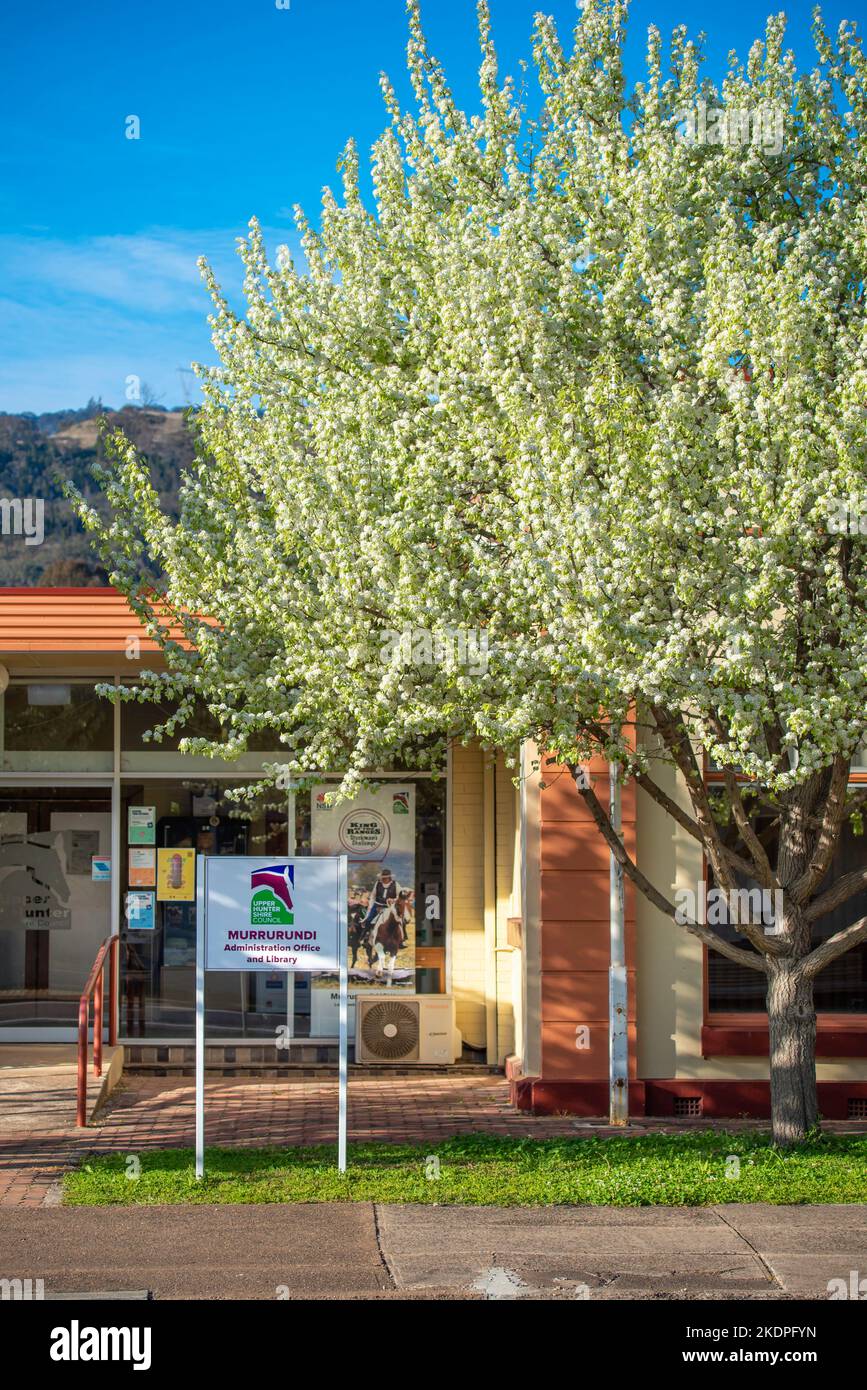 Small local community library hi-res stock photography and images - Alamy