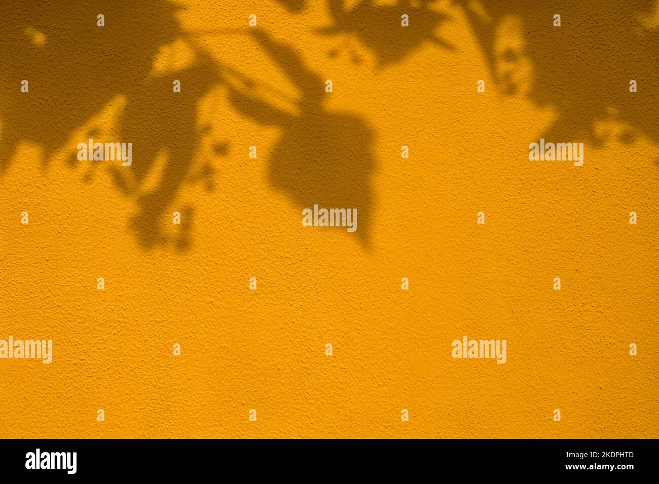 Abstract leaves shadows on saturated yellow concrete wall texture with ...