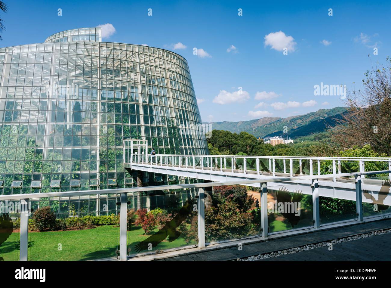 Tourists are visiting maple leaves in Kunming Botanical Garden, Kunming ...