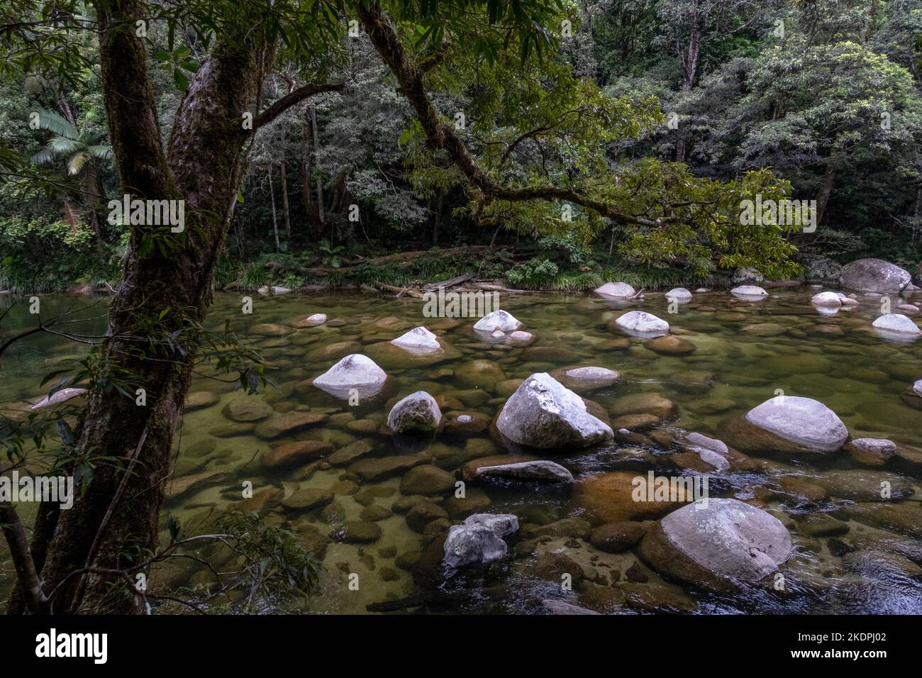Mossman River in the Mossman Gorge, Daintree National Park in ...