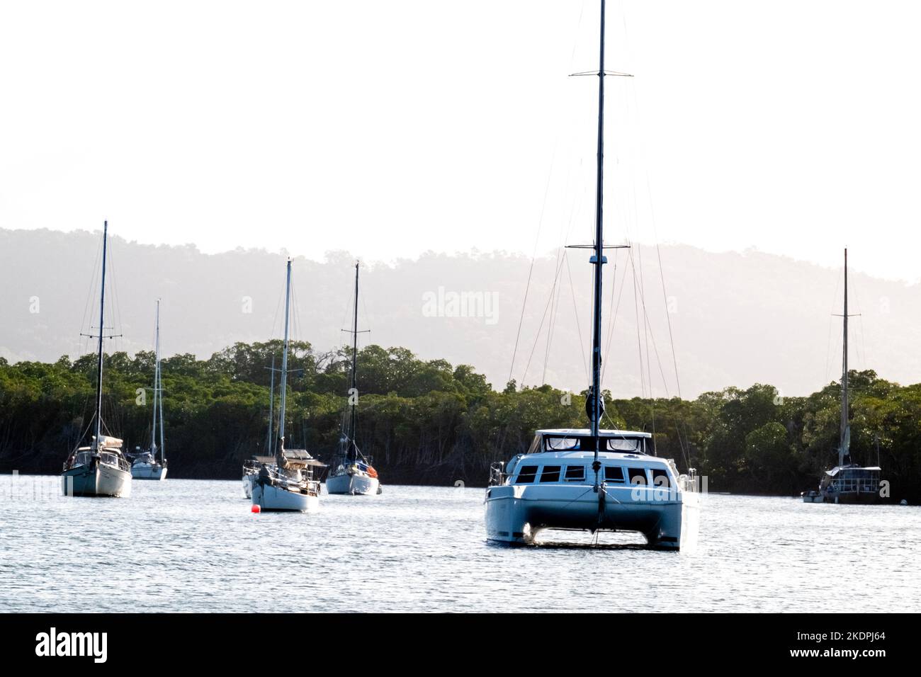 Boats moored at Dickson inlet in Port Douglas, Queensland, Australia ...
