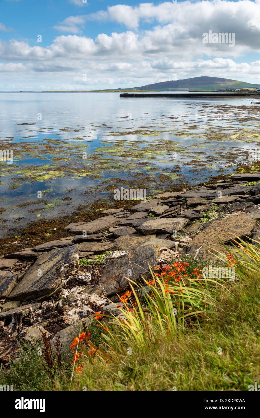 Firth orkney hi-res stock photography and images - Alamy