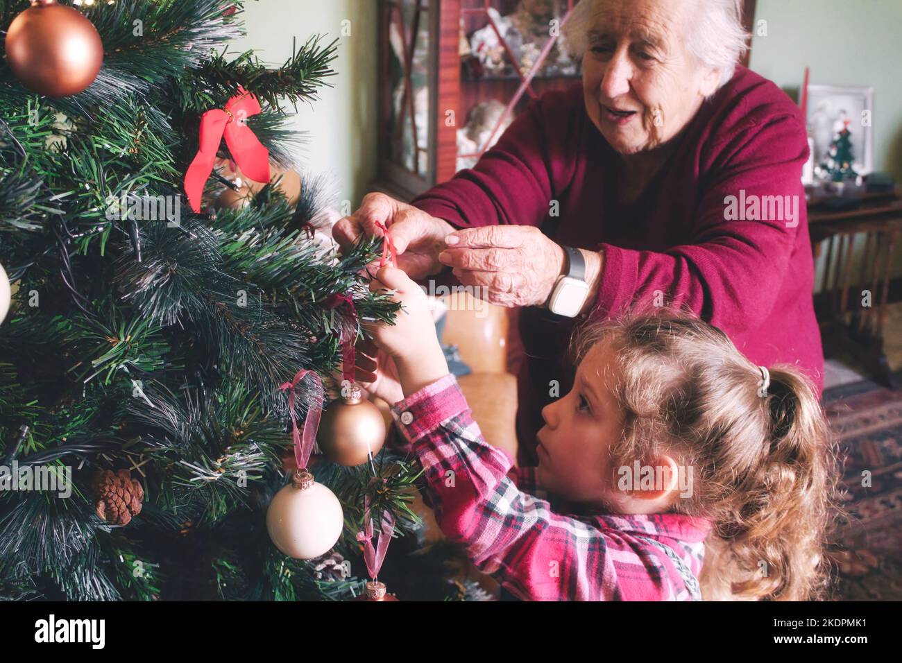 A young girl and her grandmother decorating the tree for the Christmas ...
