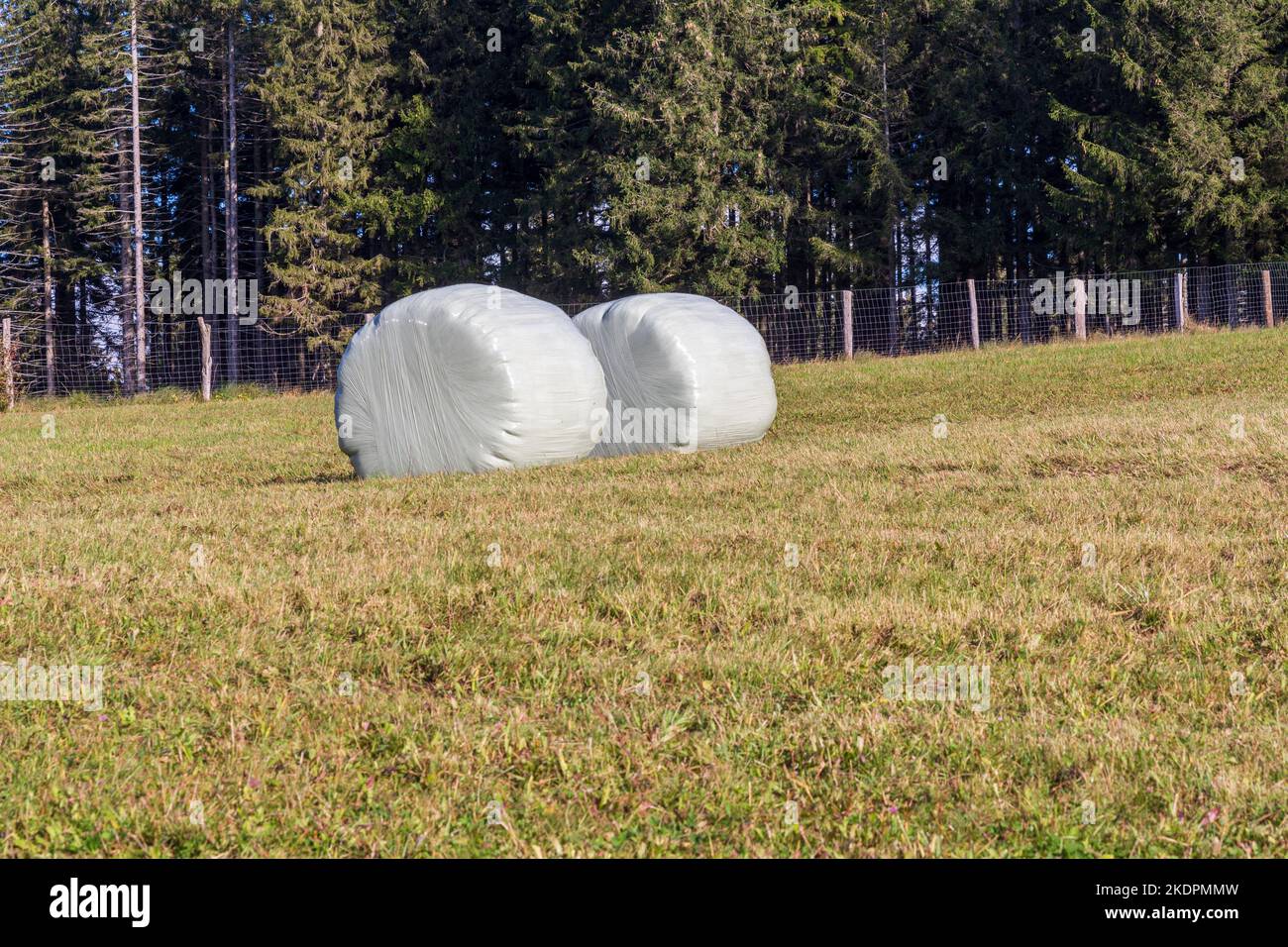 Polyethylene balls hi-res stock photography and images - Alamy