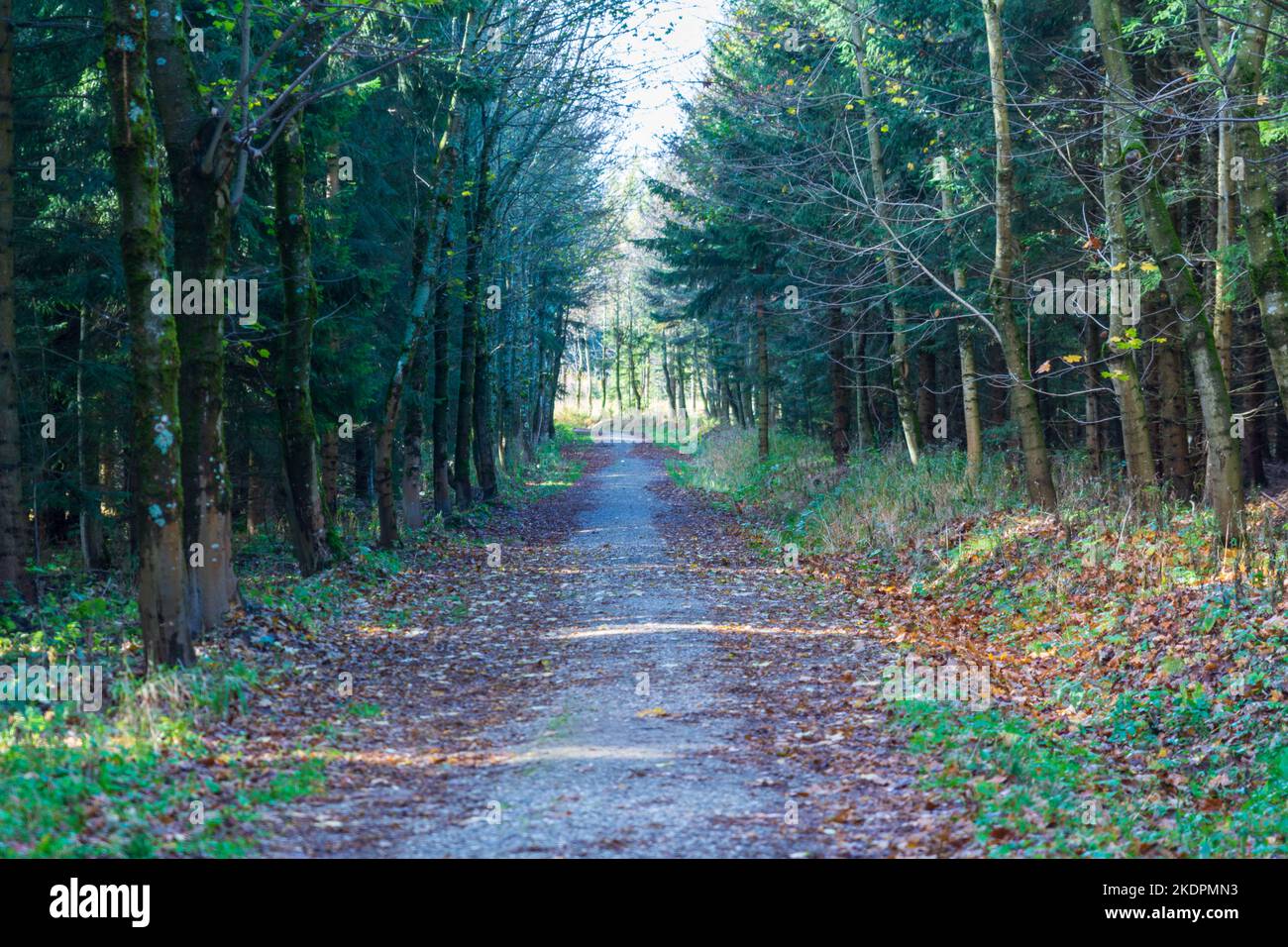 Idyllic pathway hi-res stock photography and images - Alamy