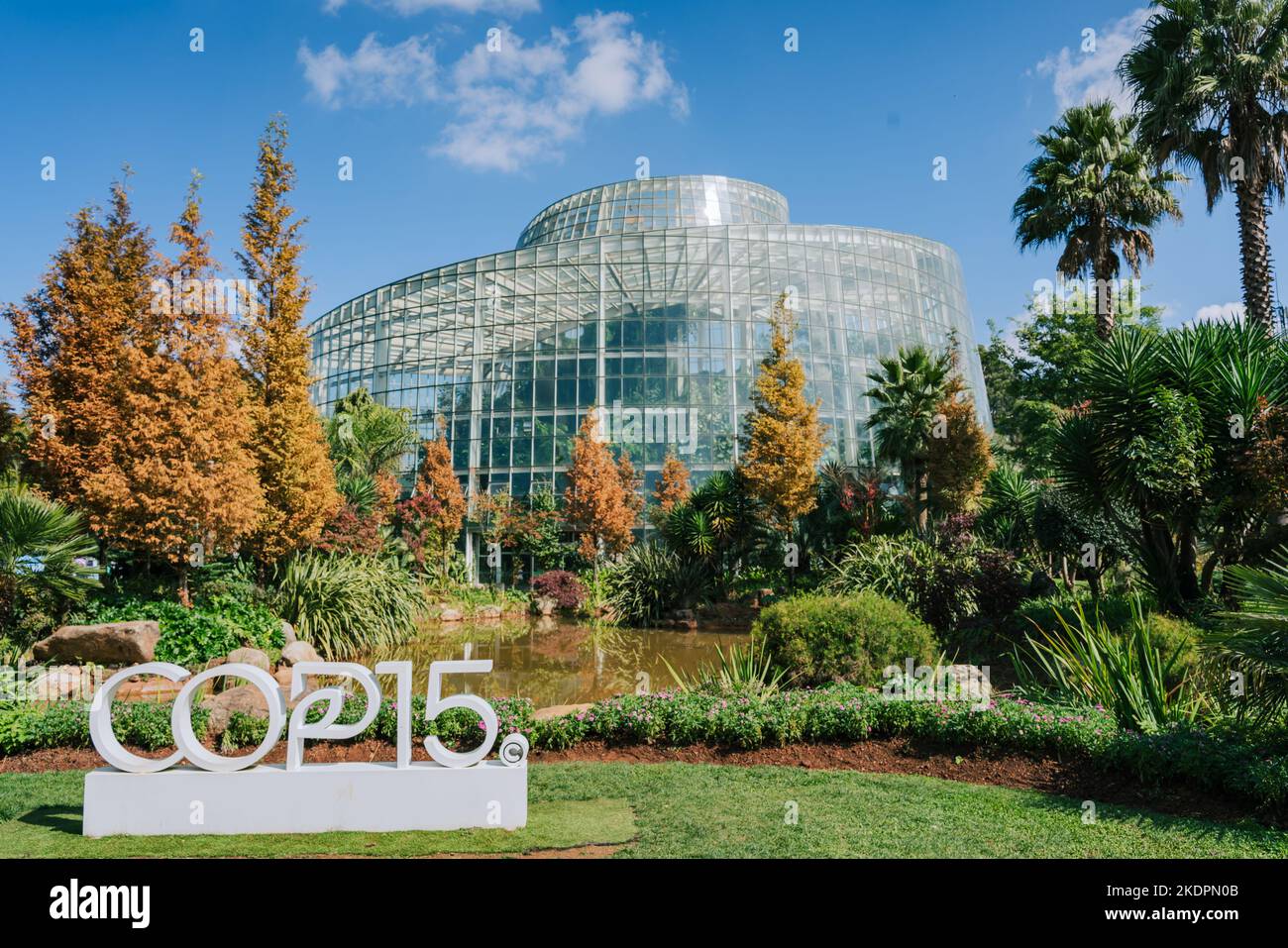 Tourists are visiting maple leaves in Kunming Botanical Garden, Kunming ...