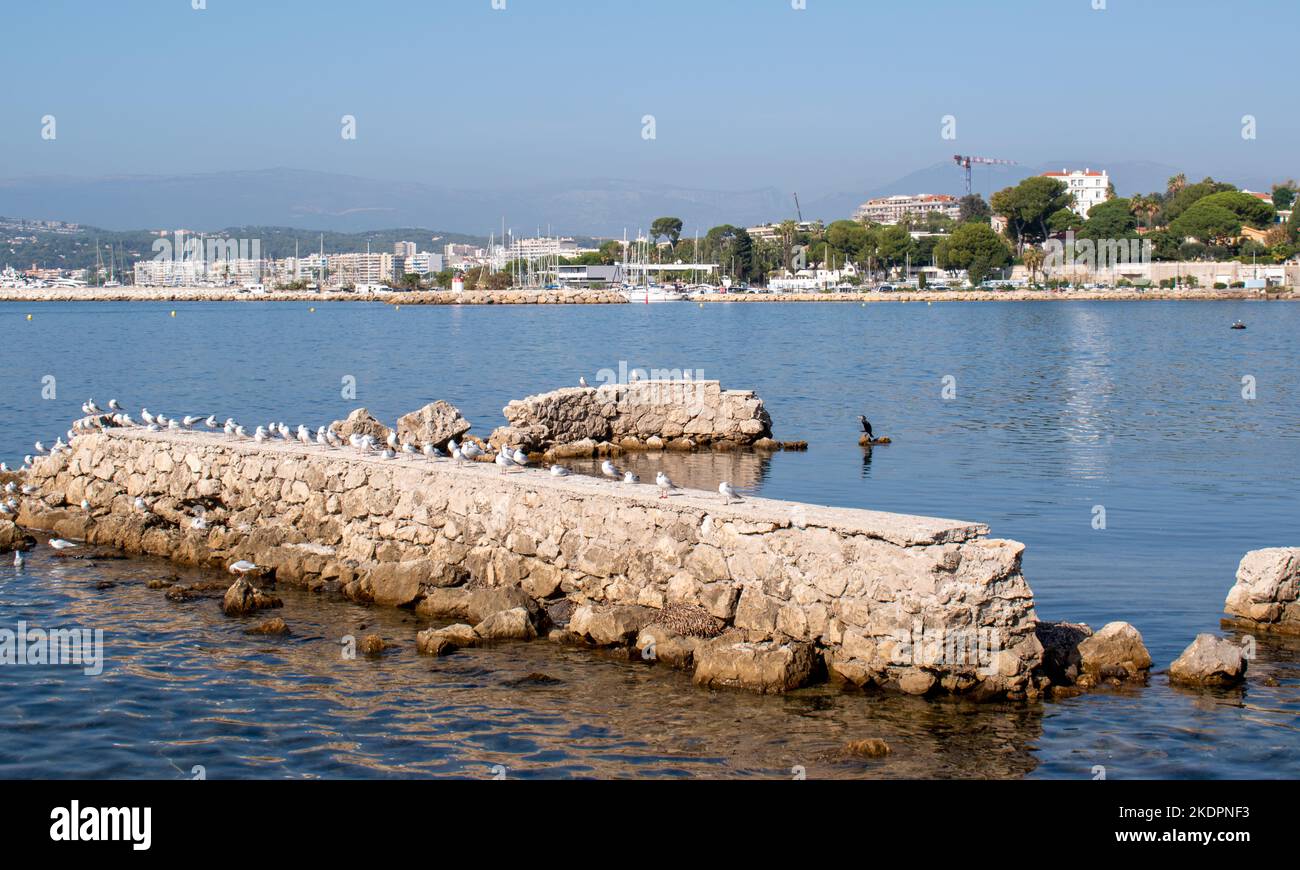 The beach of Juan-les-Pins near Nice, Côte d'Azur, France Stock Photo ...
