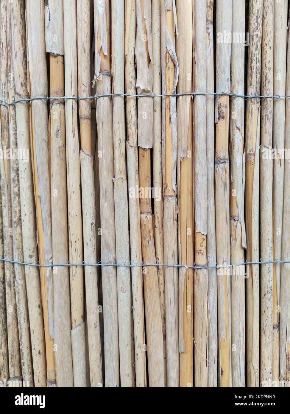 Old weathered reed fence tied with wire Stock Photo - Alamy