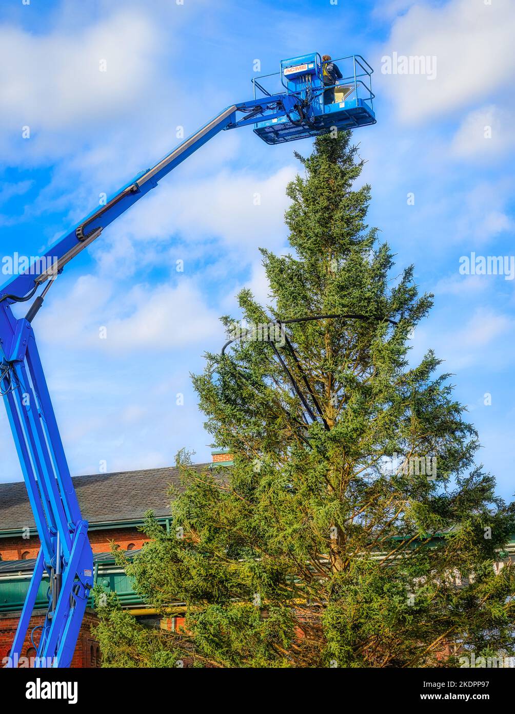Toronto, Canada - November 5, 2022: The Christmas Tree installation in ...