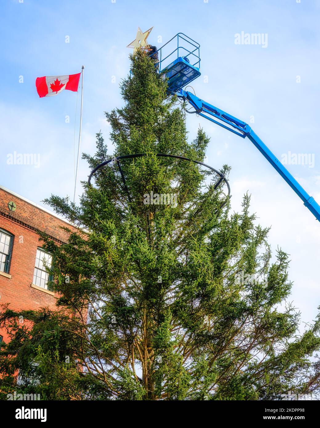 Toronto, Canada - November 5, 2022: The Christmas Tree installation in ...