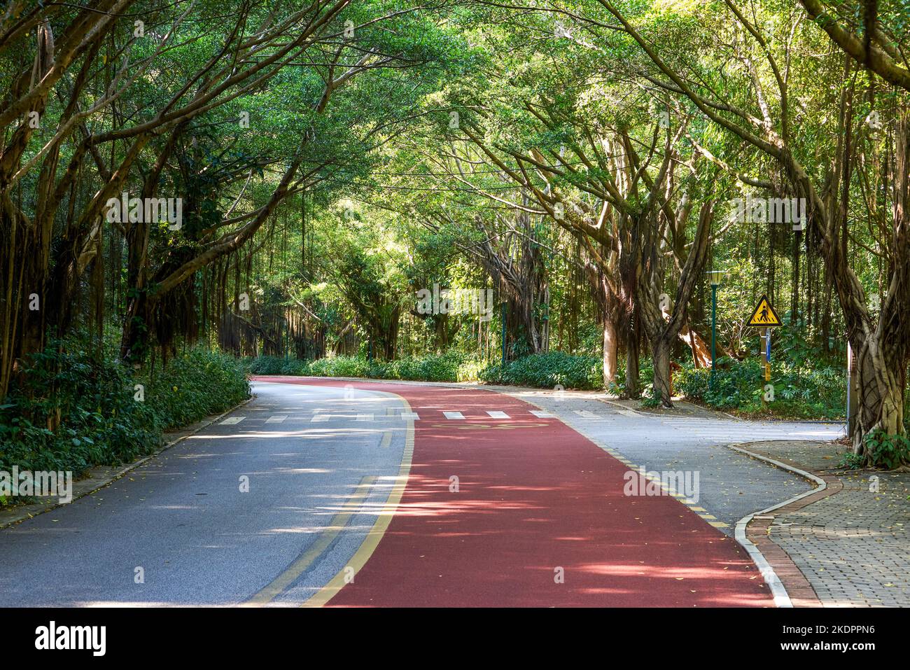 Uphill road in forest park Stock Photo - Alamy