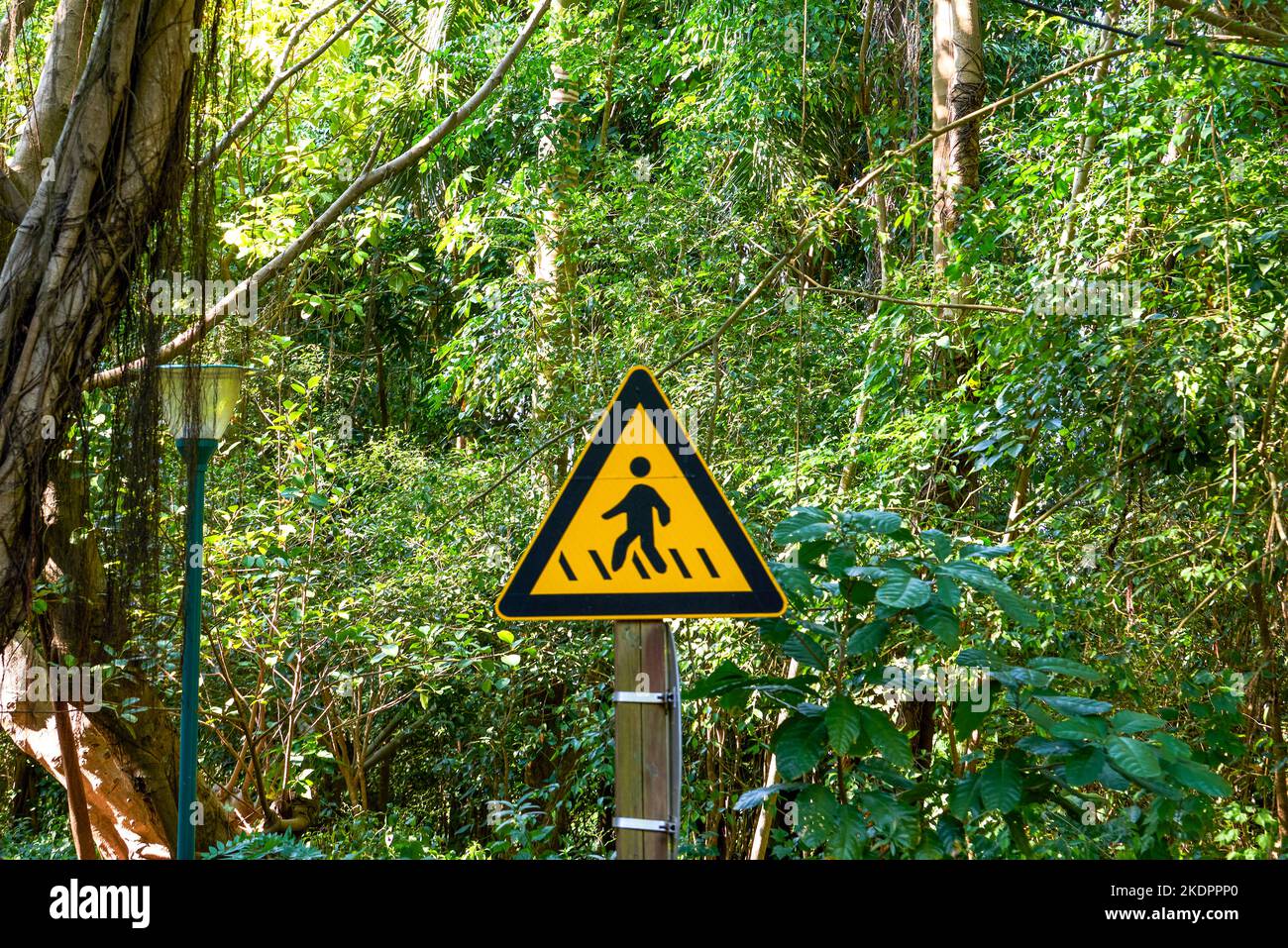Yellow attention pedestrian traffic warning sign on the roadside ...