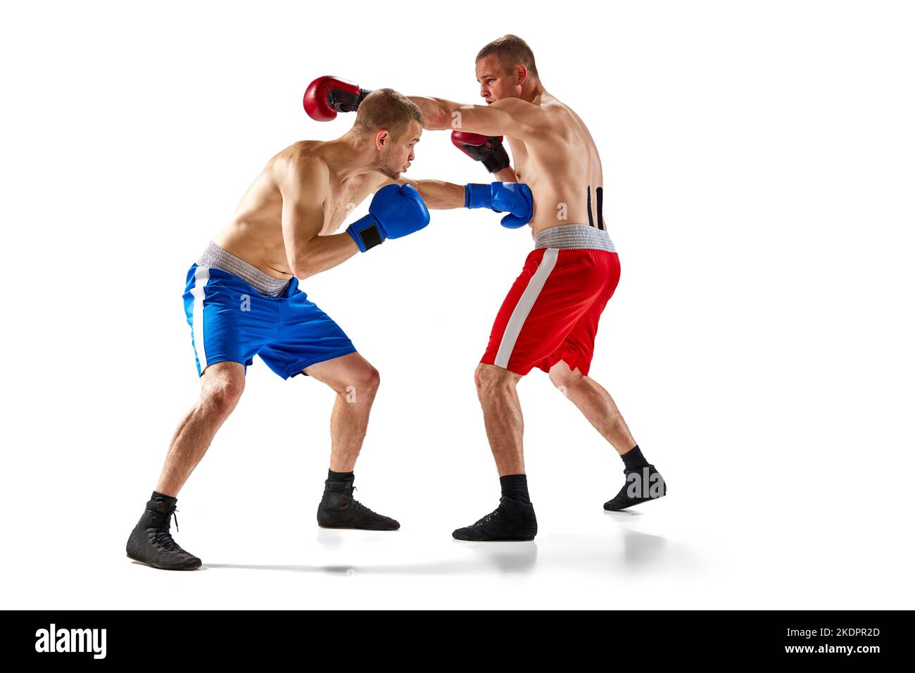 Unfocused effect portrait of two professional boxers boxing isolated on ...