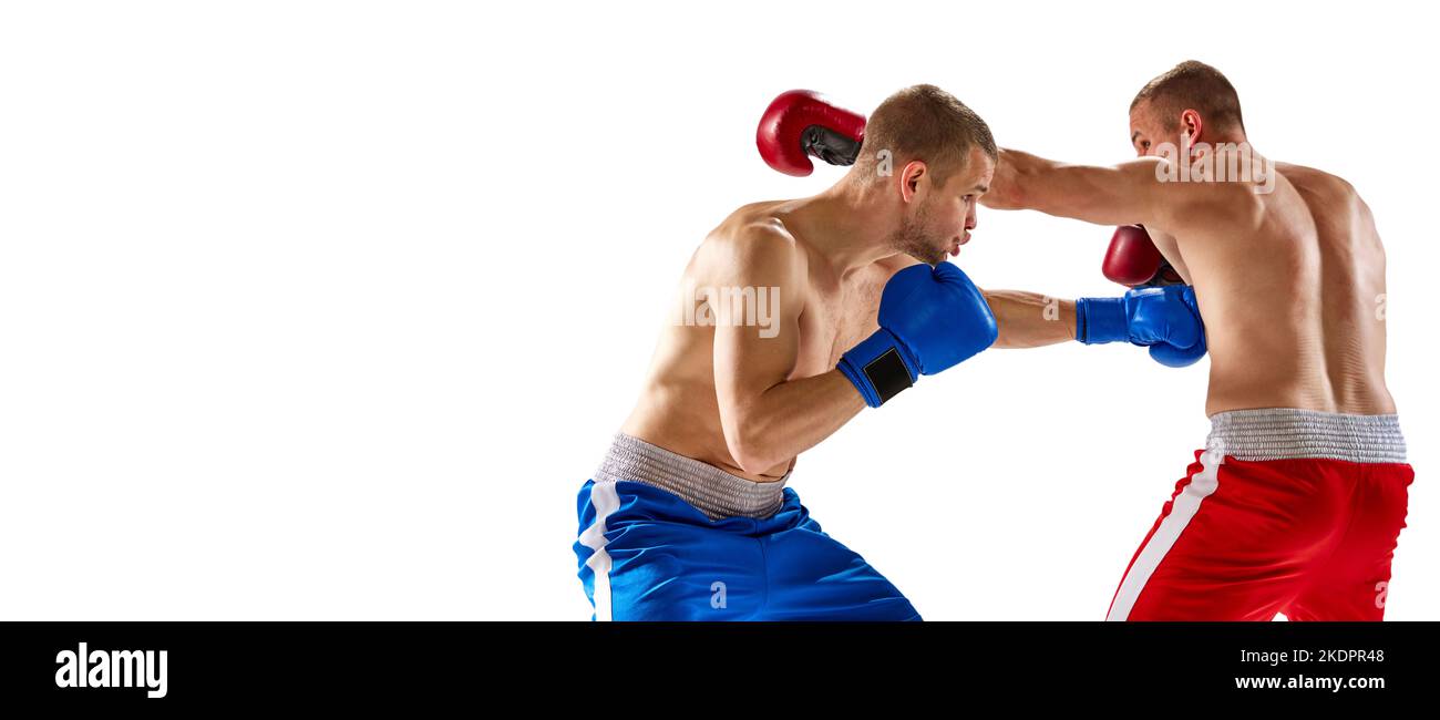 Battle of two boxers. Two muscular professional boxers in blue and red ...