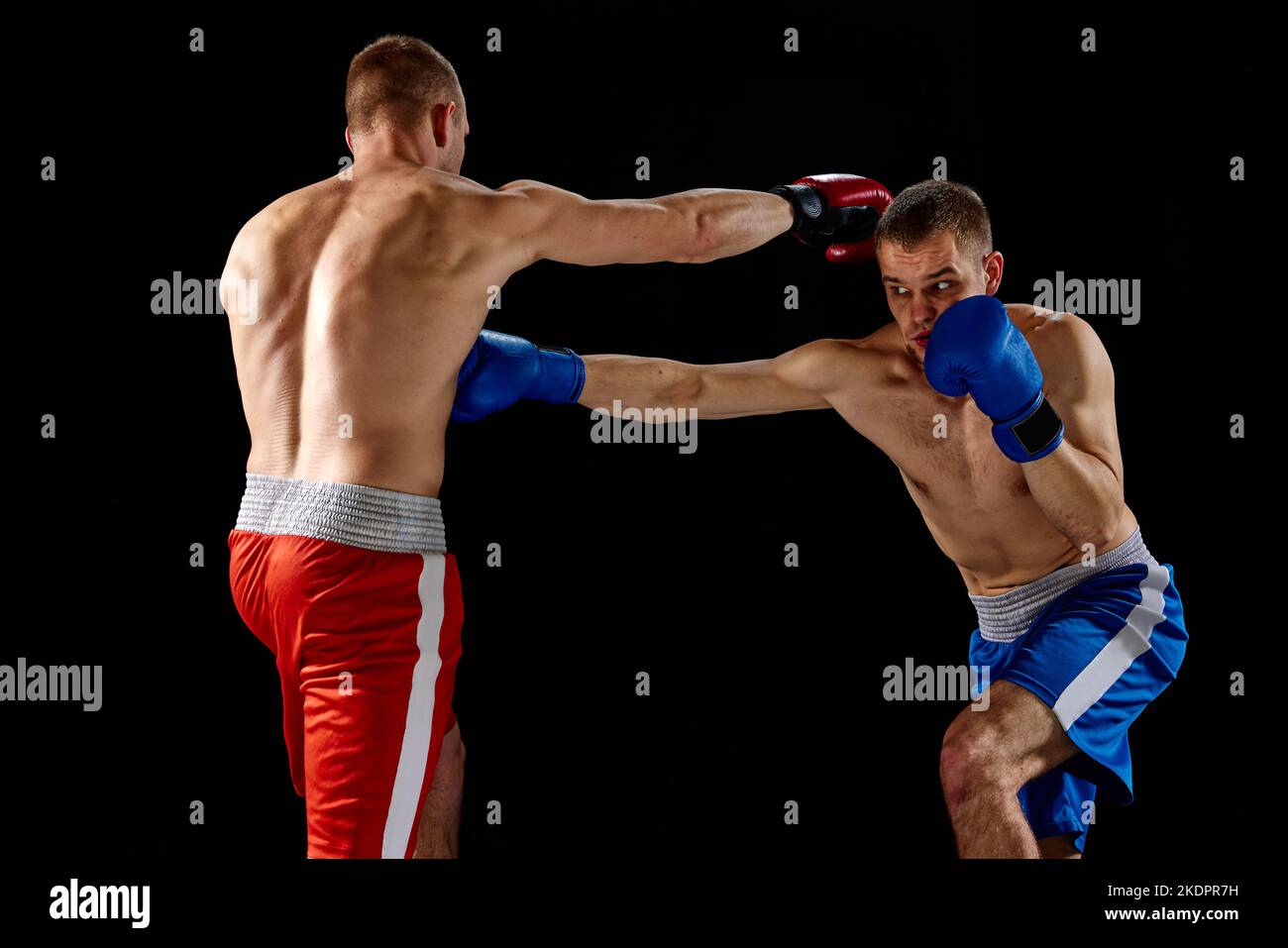 Male professional boxers in blue and red sports uniform practicing ...
