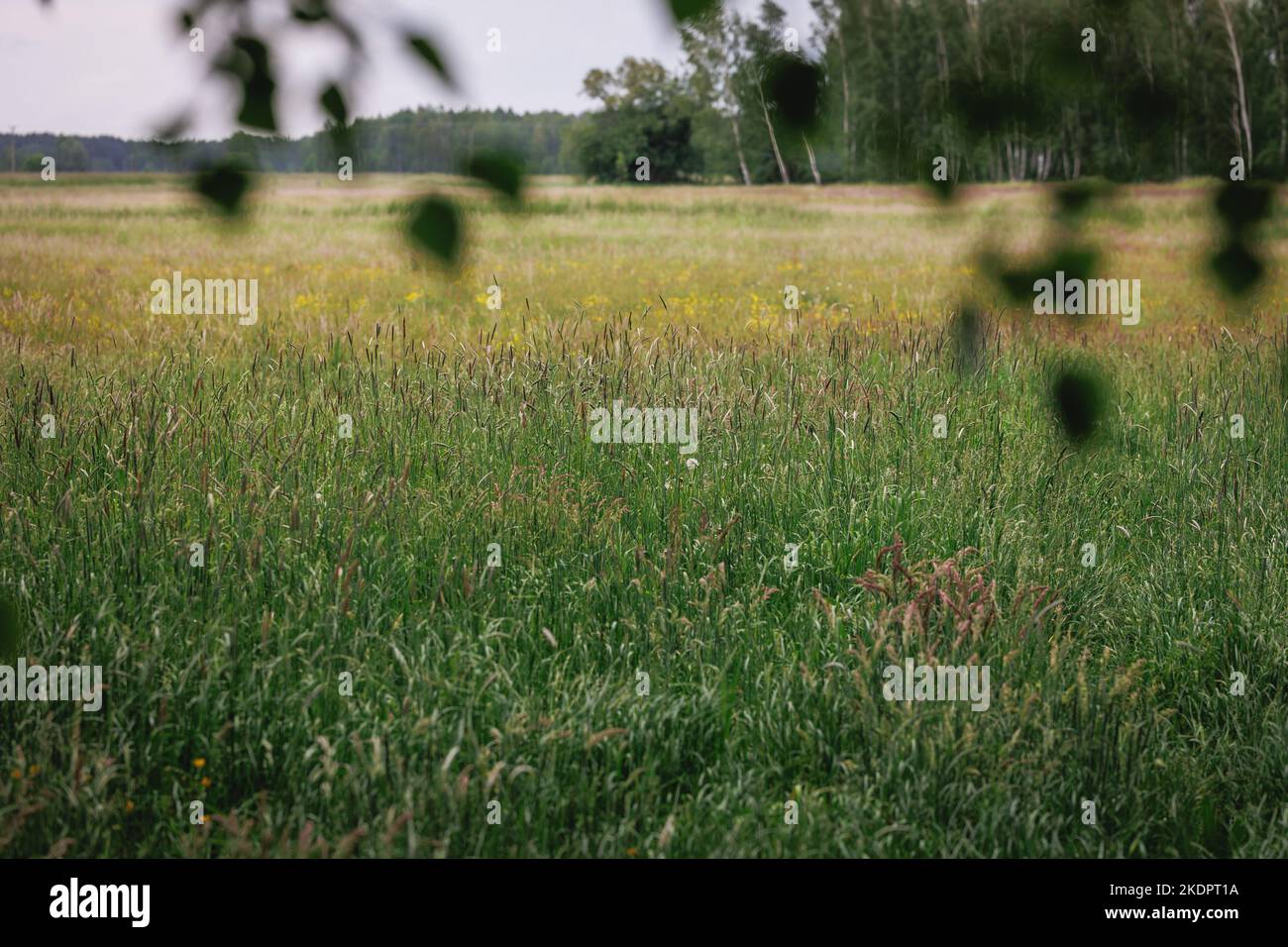 Region mazowsze hi-res stock photography and images - Alamy