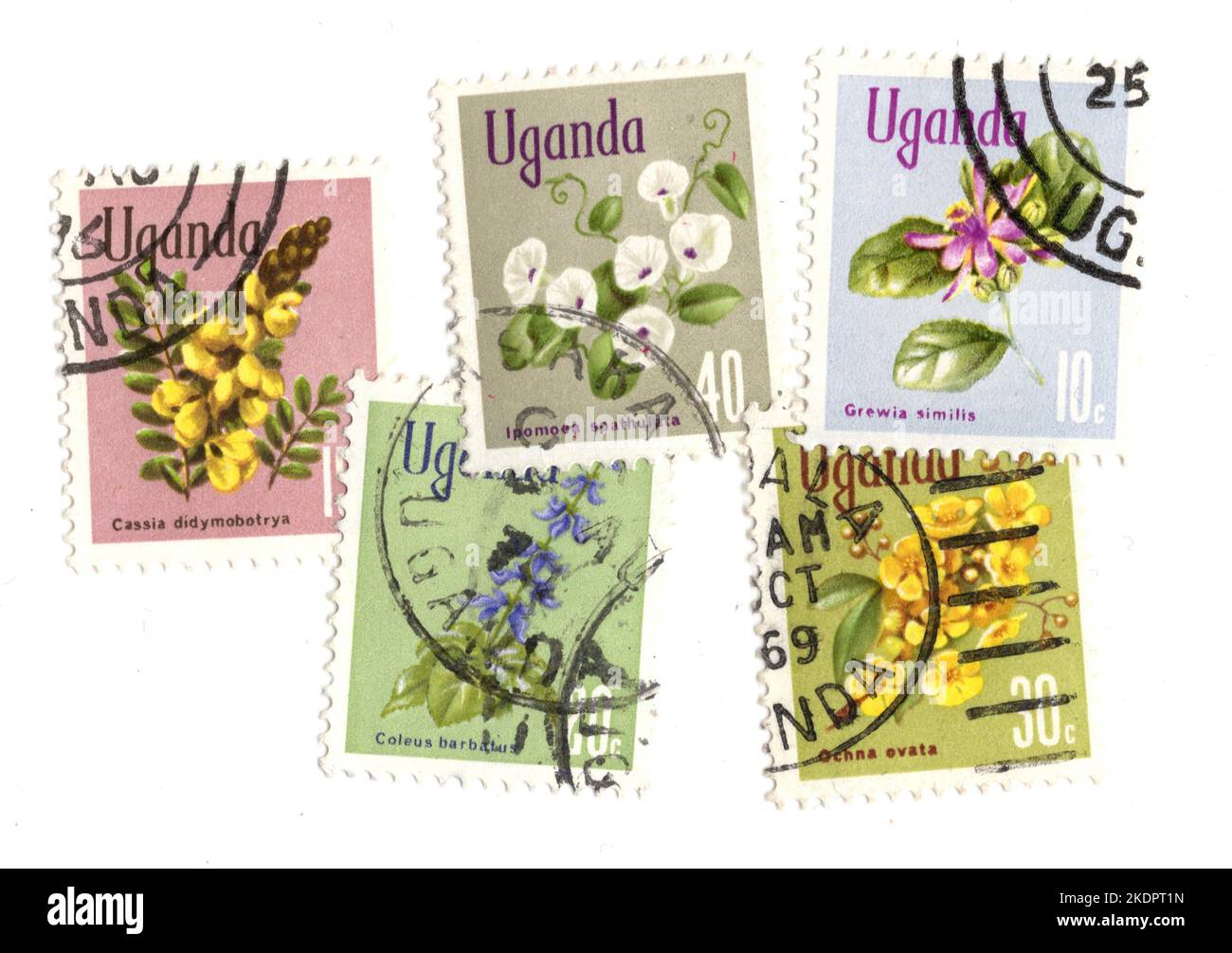 A montage of vintage postage stamps from Uganda on a white background ...