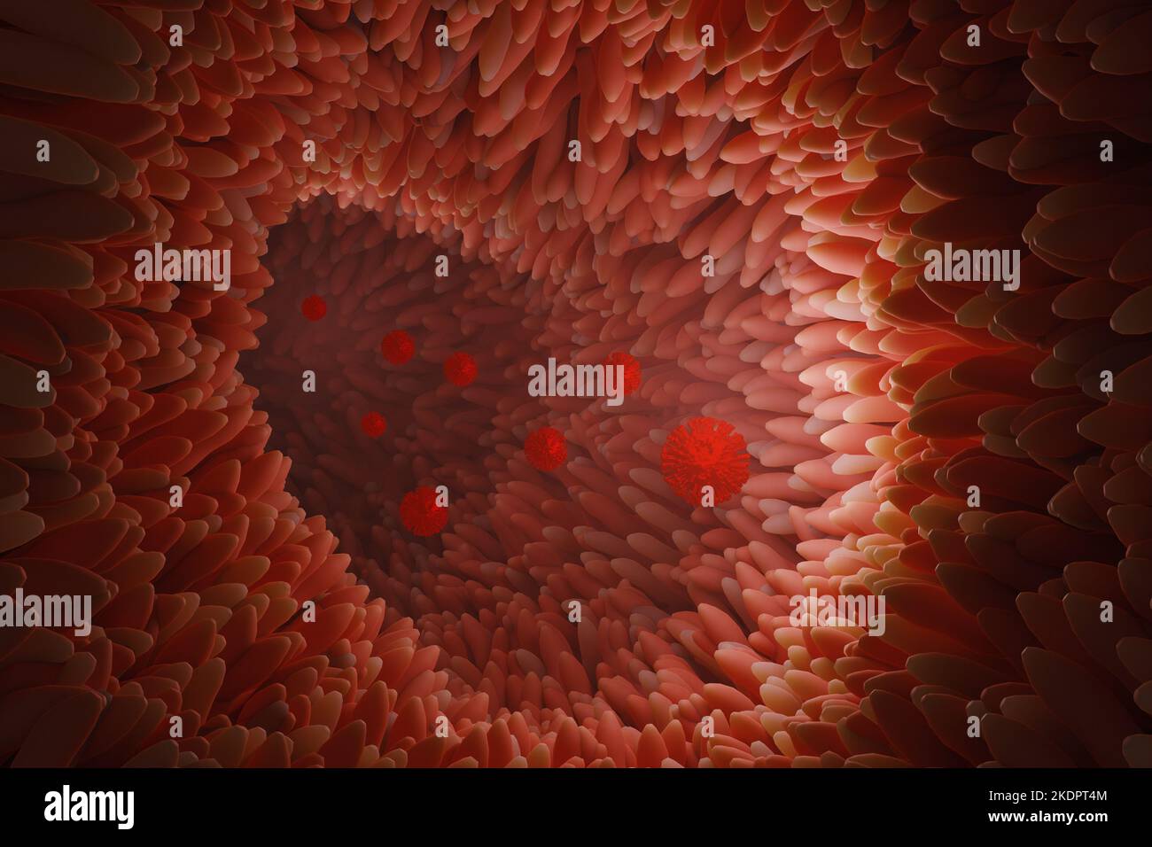 Microvilli on surface of digestive system or intestinal tract with ...