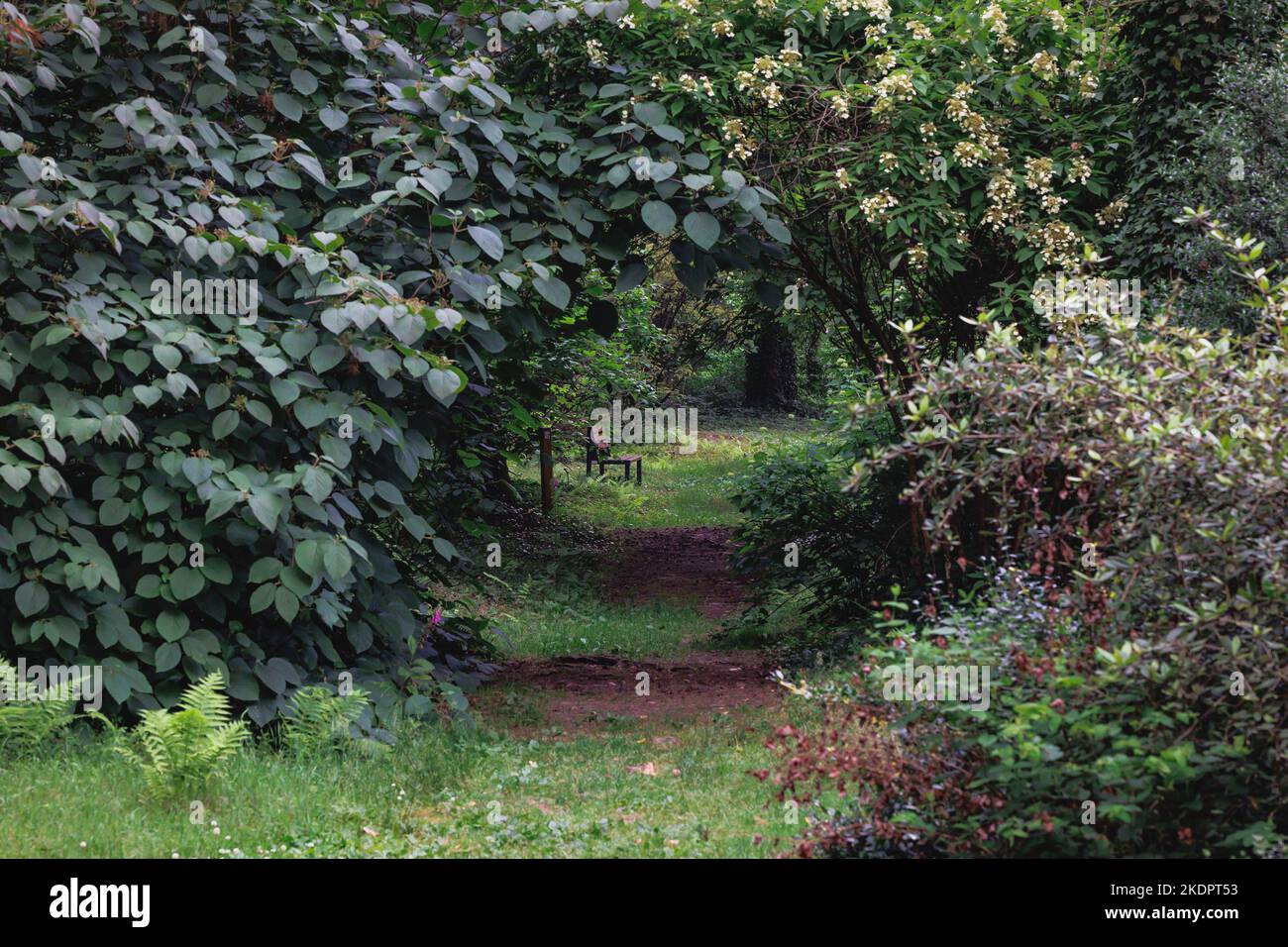 The Arboretum of the Warsaw University of Life Sciences botanical ...