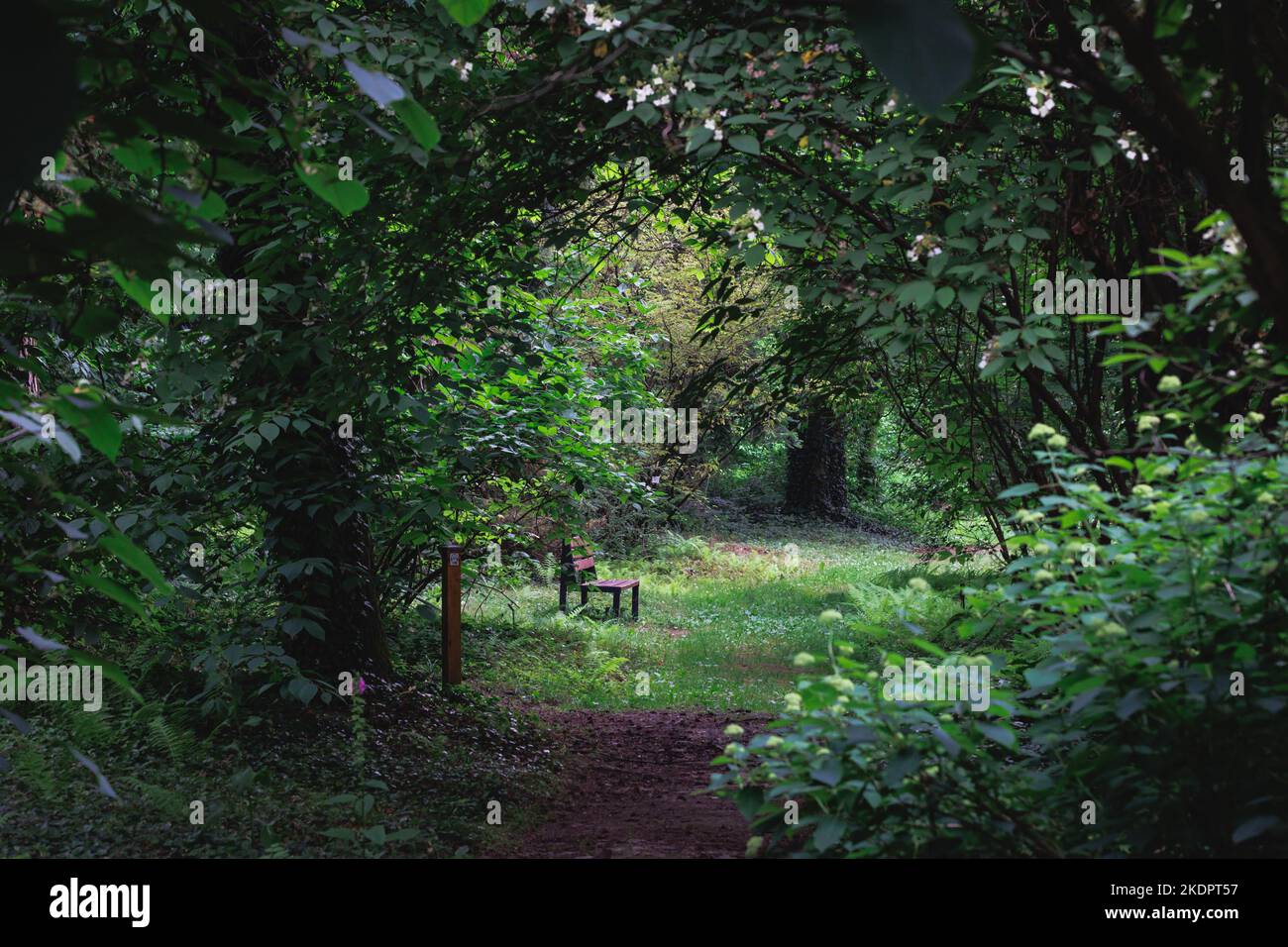 The Arboretum of the Warsaw University of Life Sciences botanical ...