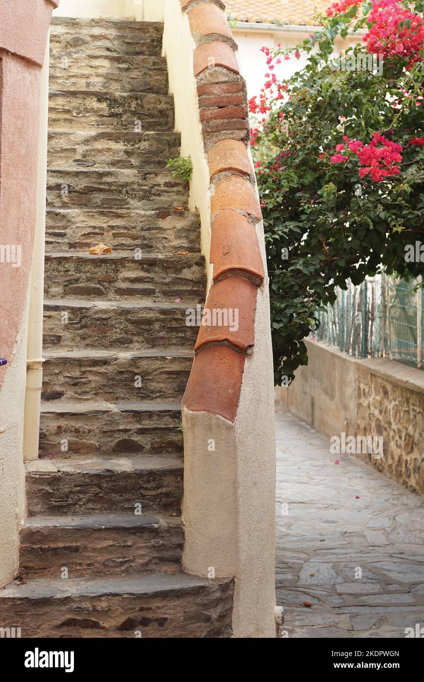 Steps leading to house with bordered by plant with flowers in bloom ...