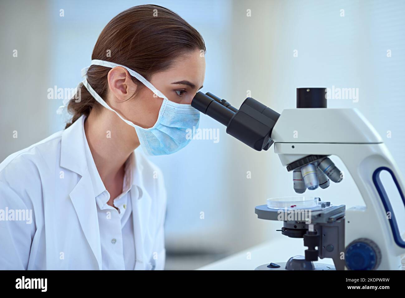 Conducting tests to build better insights. a female scientist working ...