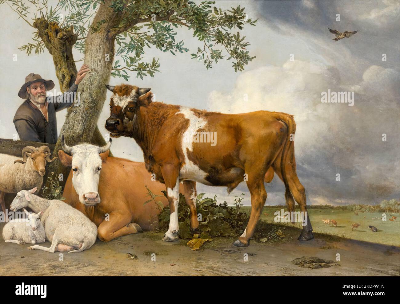 Paulus Potter painting, The Bull, oil on canvas, 1647 Stock Photo - Alamy