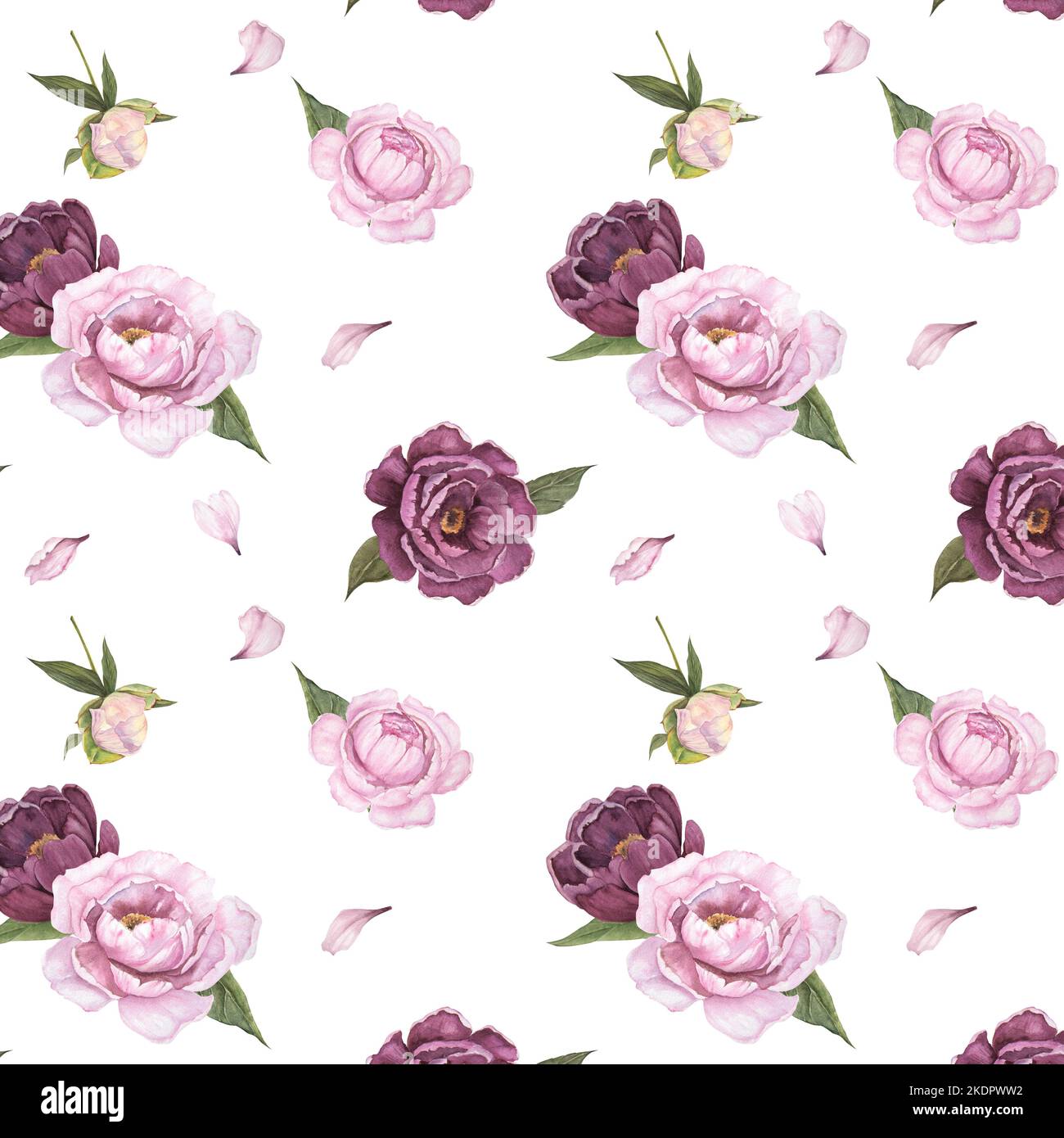 Watercolor seamless pattern with pink peony petals and peony flowers ...