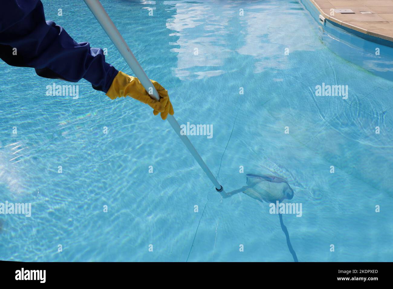 Cleaning the pool from debris with a special mesh. Maintenance of the ...