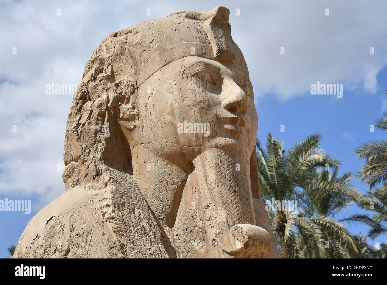 The Sphinx of Memphis is a stone sphinx located near the remains of ...