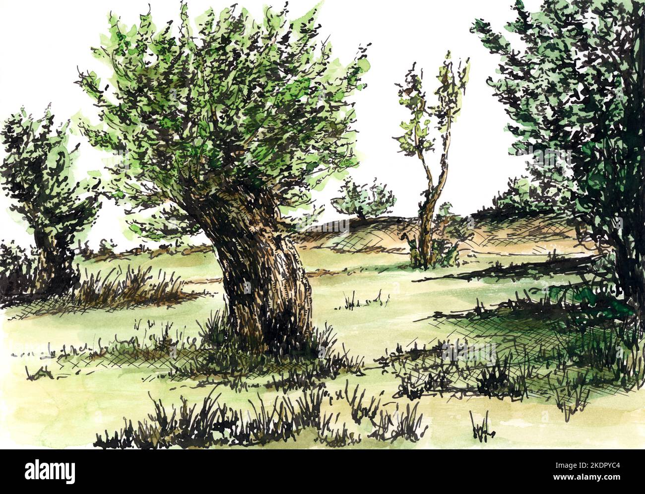 Fine line landscape drawing hi-res stock photography and images - Alamy