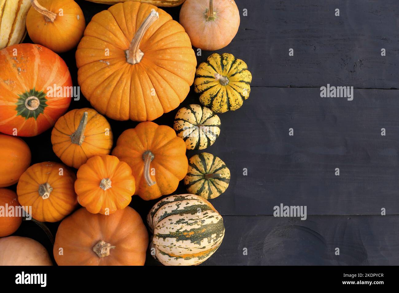 Pumpkins autumn food background. Vector illustration Stock Photo - Alamy