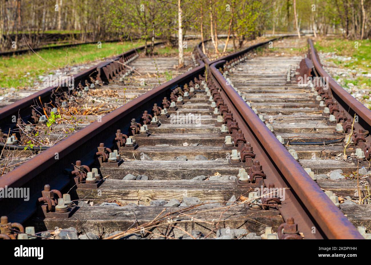 Abandoned old rusty railway line tracks leading into a woodland or ...