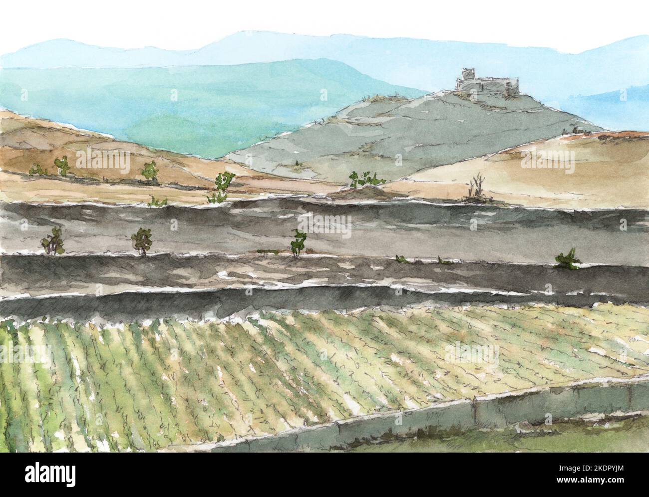 Spanish landscape with vineyard. Watercolor on paper Stock Photo - Alamy